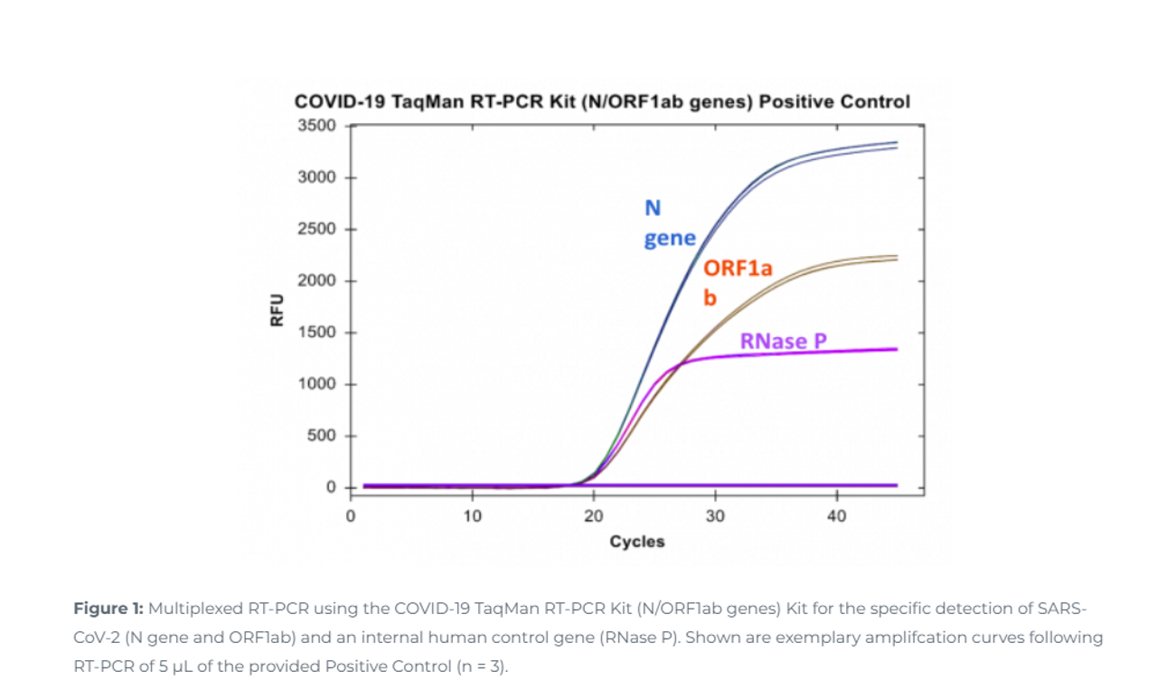 Norgen Biotek™ COVID-19 TaqMan RT-PCR Kit (N/ORF1ab genes) Dx, 500 Reactions