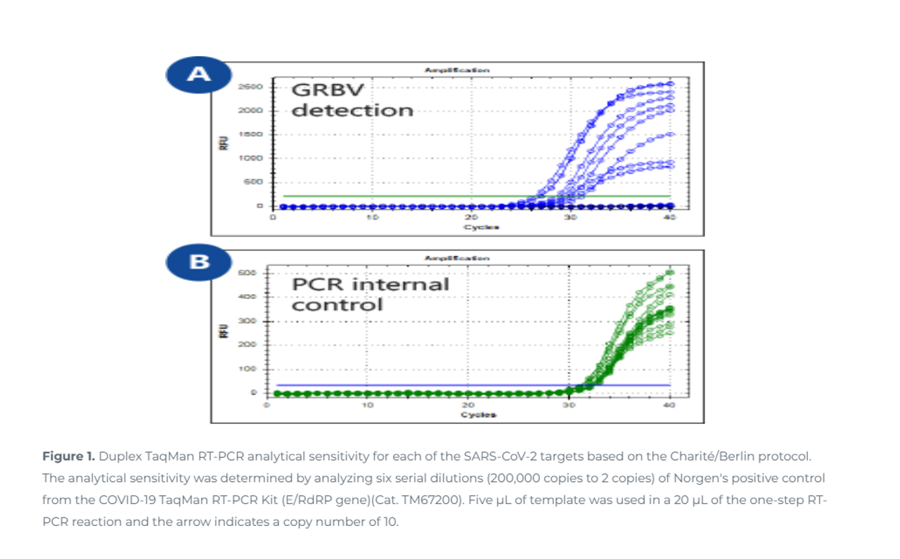 Norgen Biotek™ COVID-19/Influenza (A & B) TaqMan RT-PCR Kit, 50 Reactions