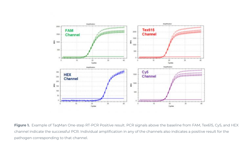 Norgen Biotek™ HLVd/LCV/CanCV TaqMan RT-PCR Kit, 100 Reactions