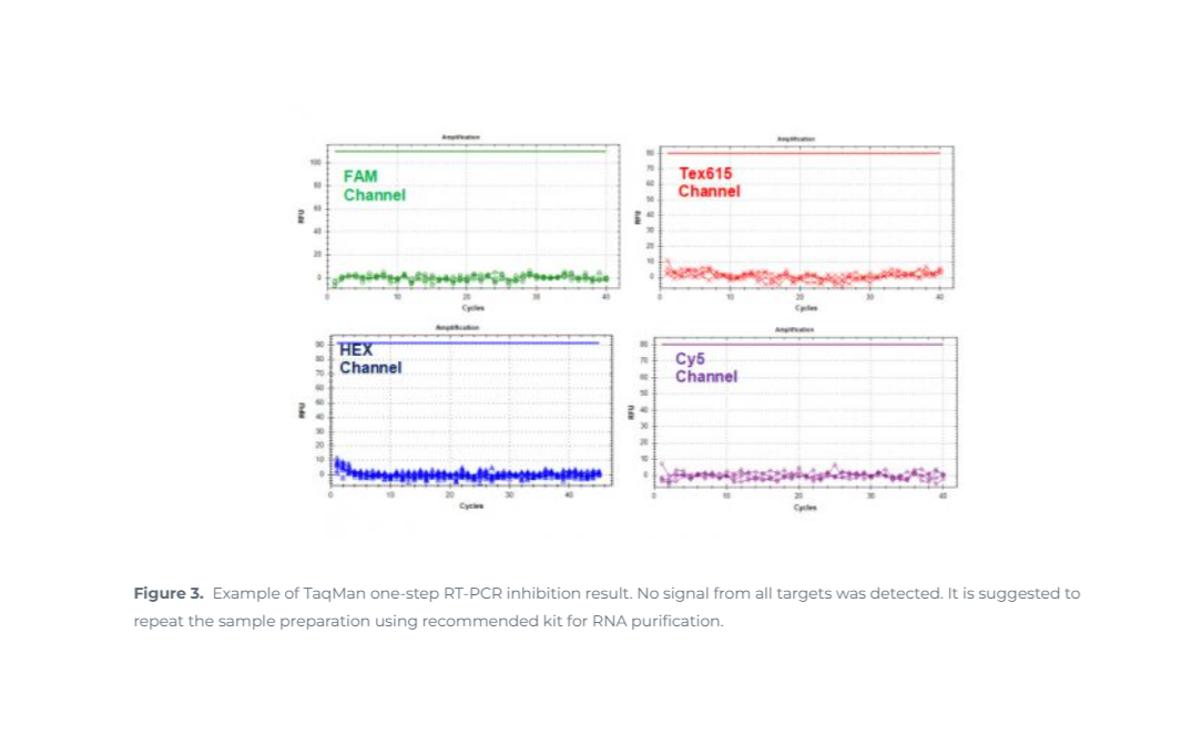 Norgen Biotek™ HLVd/LCV/CanCV TaqMan RT-PCR Kit, 100 Reactions