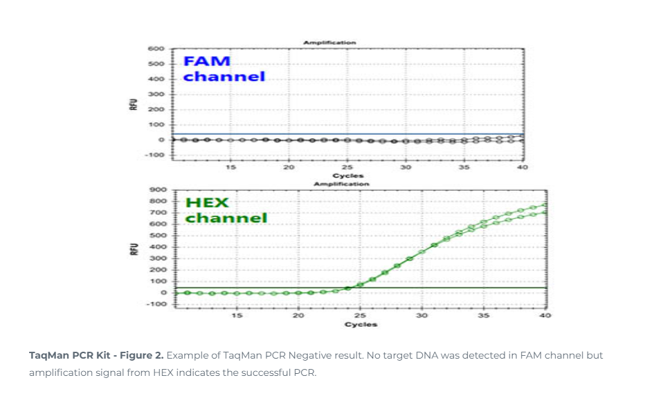 Norgen Biotek™ JCV TaqMan PCR Kit Dx, 24 Reactions