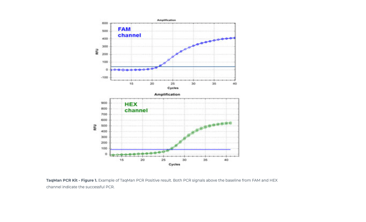 Norgen Biotek™ Streptococcus uberis TaqMan PCR Kit, 100 Reactions