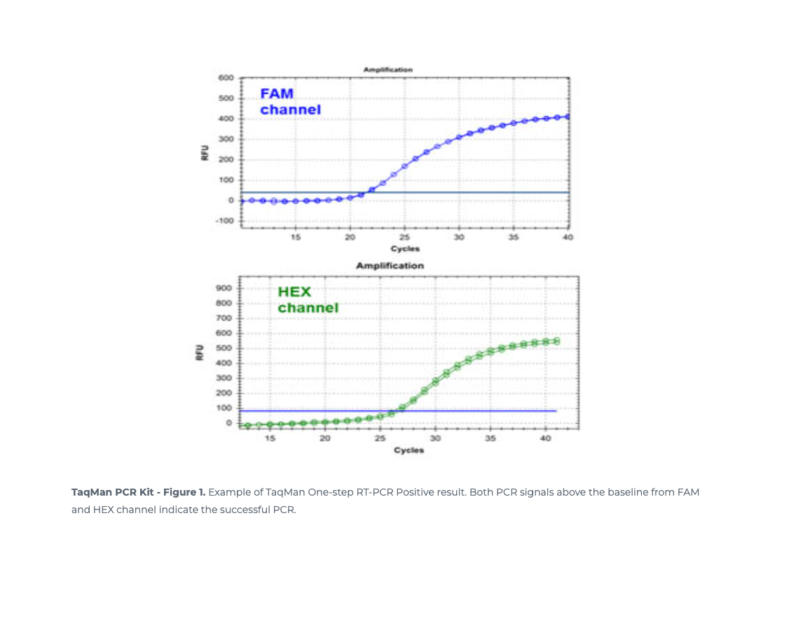 Norgen Biotek™ WNV TaqMan RT-PCR Kit, 100 Reactions