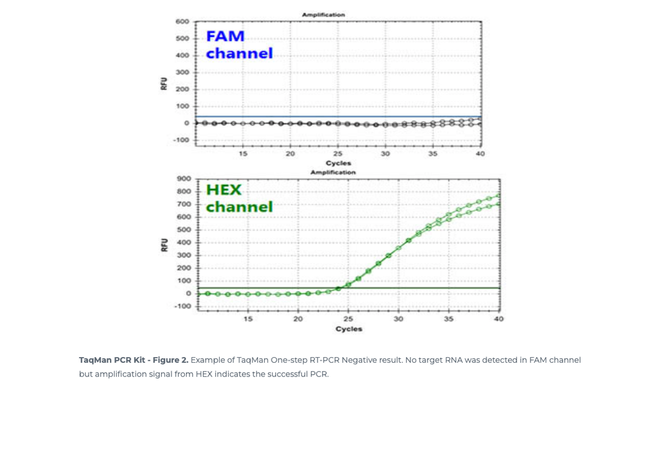 Norgen Biotek™ XMRV TaqMan RT-PCR Kit, 100 Reactions Norgen Biotek™ XMRV TaqMan RT-PCR Kit, 100 Reactions