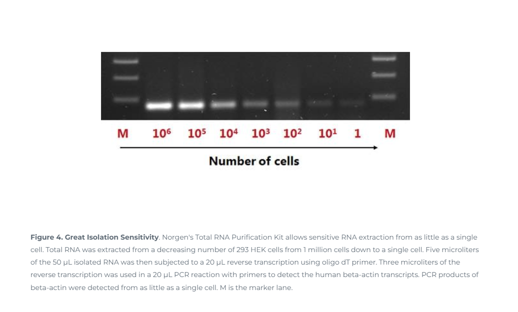 Norgen Biotek™ Total RNA Purification Kit - 96 Well Plate Format, 6 Plates