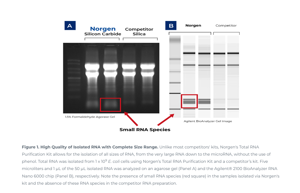 Norgen Biotek™ Total RNA Purification Kit - 96 Well Plate Format, 6 Plates