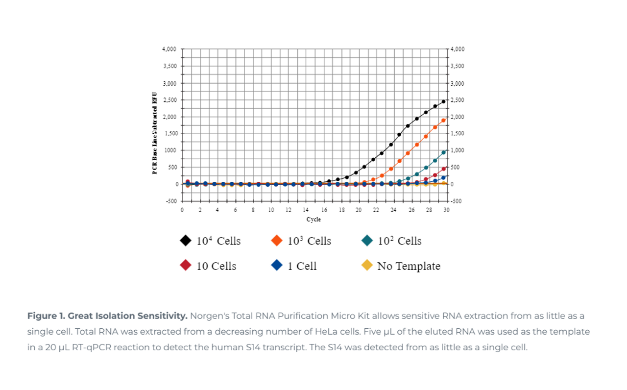 Norgen Biotek™ Total RNA Purification Micro Kit, 250 Preps