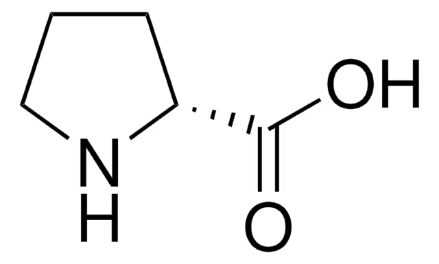 ᴅ-Proline, 1 X 500 mg (858919-500MG) | MilliporeSigma® (Sigma-Aldrich)