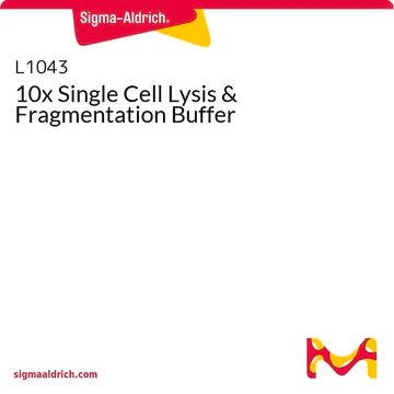 10x Single Cell Lysis & Fragmentation Buffer, 500 reactions (L1043 ...
