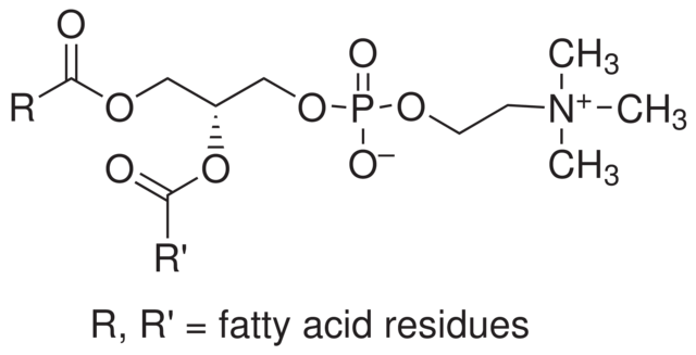 Lecithin, Soybean | MP Biomedicals®
