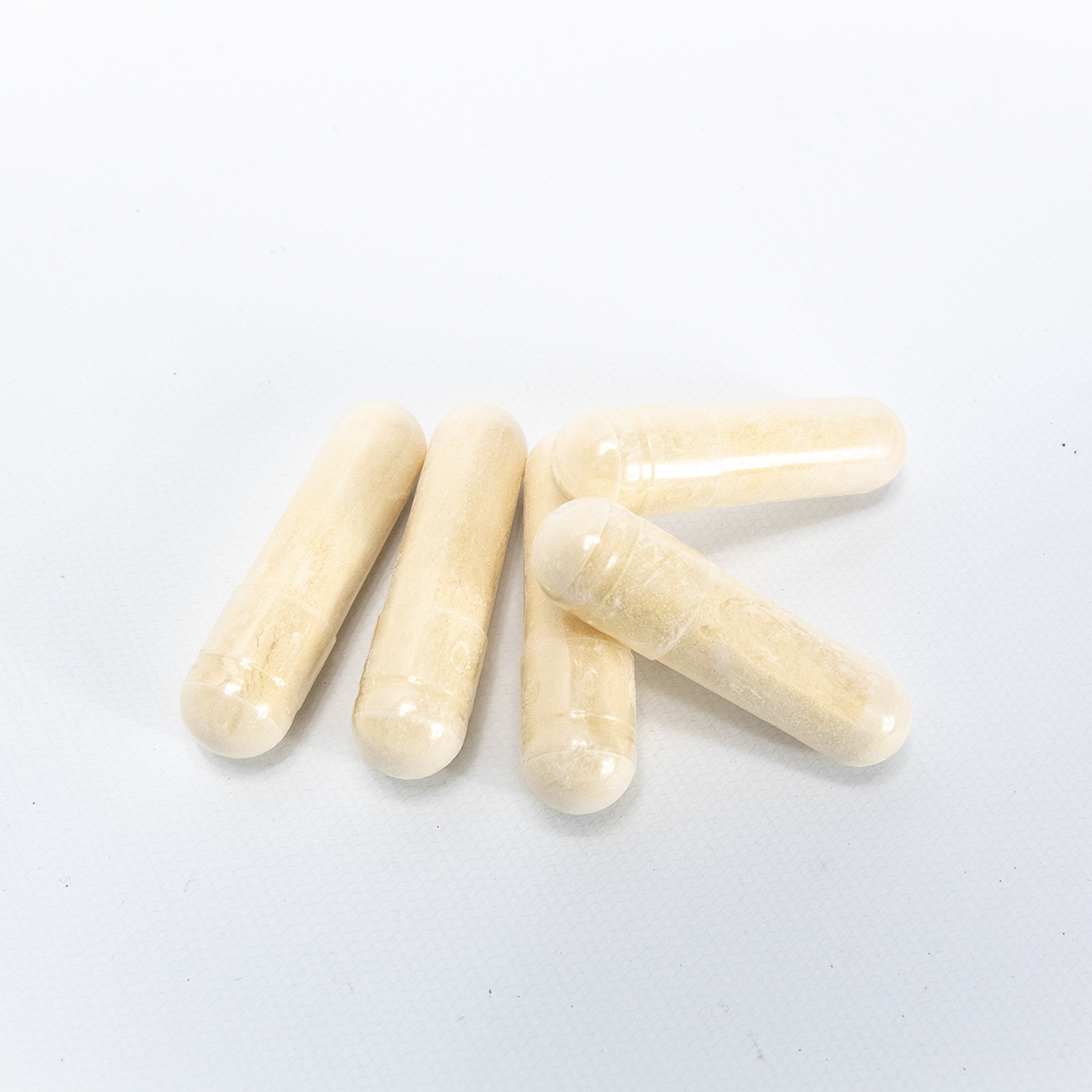 L-Broth Agar (large capsules), 1 KG | MP Biomedicals®