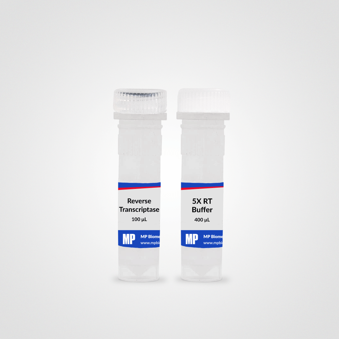 RapidScript RT Kit, 100 RXNS | MP Biomedicals®