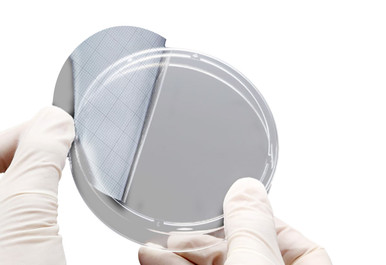 ASI™ Grid Sticker, Tetron, 10mm, 200/Cs