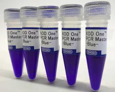 KOD One™ PCR Master Mix -BLUE-, 1 X 5 mL (KMM-201NV-5X1ML) | MilliporeSigma® (Sigma-Aldrich)