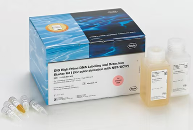 DIG-High Prime DNA Labeling and Detection Starter Kit I, 12 reactions ...