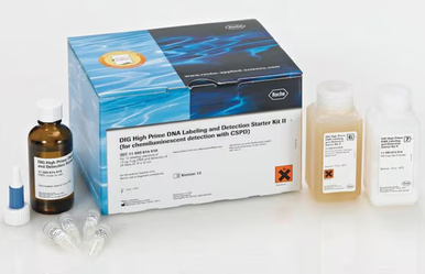 DIG-High Prime DNA Labeling and Detection Starter Kit II, 12 reactions ...