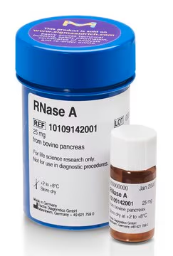 RNase A, 100 mg (10109169001) | MilliporeSigma® (Sigma-Aldrich)