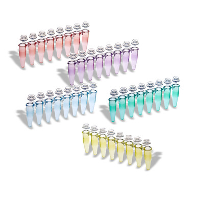 ProCycle PCR Tubes: 0.2ml StableStrip, 8-Strip, Assorted Colors