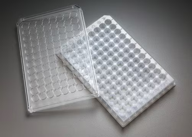 Multiscreen® 96 well Plate, PTFE membrane, 50 pkg (MSRLN0450 ...