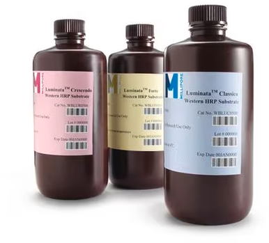 Immobilon Crescendo Western HRP substrate, 20 mL, 1 X 20 mL (WBLUR0020 ...