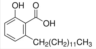 Ginkgolic acid C13:0, 10 mg (PHL89678-10MG) | MilliporeSigma® (Sigma ...