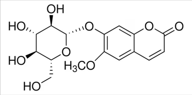 Scopolin, 10 mg (PHL82649-10MG) | MilliporeSigma® (Sigma-Aldrich)