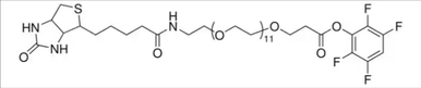 Biotin-dPEG®₁₂-TFP ester, 1000 mg (QBD10008-1000MG) | MilliporeSigma® (Sigma-Aldrich)