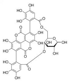 Punicalin (A + B mixture), 10 mg (PHL83532-10MG) | MilliporeSigma ...