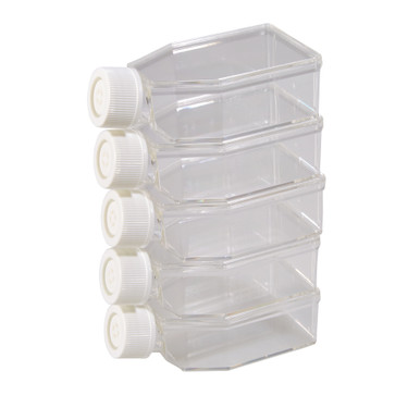 Premium ULA Cell Culture Flasks: Optimal Adhesion Control
