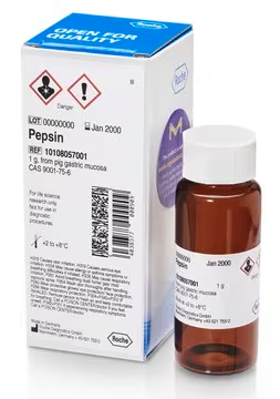 Pepsin, 1 g (10108057001) | MilliporeSigma® (Sigma-Aldrich)
