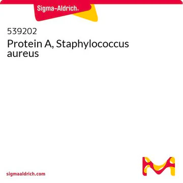 Protein A, Staphylococcus aureus, 1 X 5 mg (539202-5MG ...