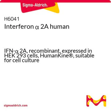 Interferon α 2A human, 5 X 10 µG (H6041-5X10UG) | MilliporeSigma ...