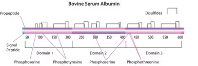 Bovine Serum Albumin solution, 1 X 100 mL (A4628-100ML ...