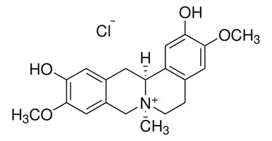 Phellodendrine chloride, 10 mg (PHL83531-10MG) | MilliporeSigma® (Sigma ...