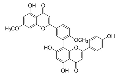 Ginkgetin, 10 mg (PHL83501-10MG) | MilliporeSigma® (Sigma-Aldrich)