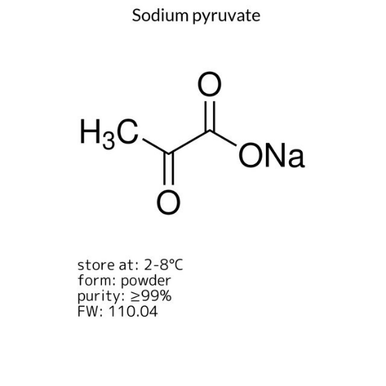 Sodium pyruvate, 1 X 5 g (P4562-5G) | MilliporeSigma® (Sigma-Aldrich)