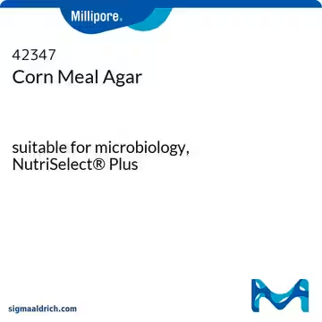 Corn Meal Agar, 1 X 500 g (42347-500G-F) | MilliporeSigma® (Sigma-Aldrich)