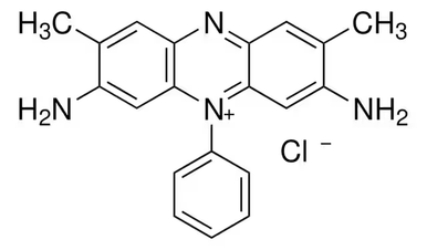 Gram’s safranin solution, 1 X 2.5 L (94635-2.5L-F) | MilliporeSigma ...