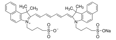 Cardiogreen, 1 X 500 mg (21980-500MG-F) | MilliporeSigma® (Sigma-Aldrich)