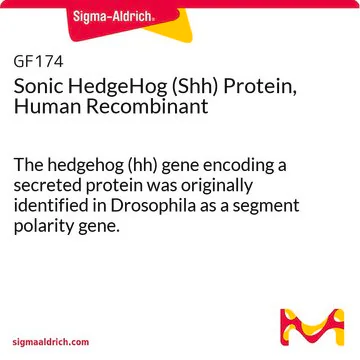 Sonic HedgeHog (Shh) Protein, Human Recombinant, 1 X 25 µG (GF174 ...