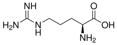 L-Arginine, free base | MP Biomedicals®