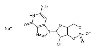 Guanosine-3',5'-cyclic-Monophosphoric Acid Sodium Salt | MP Biomedicals®