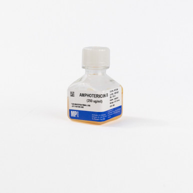 Amphotericin B (250 ug/ml) | MP Biomedicals®