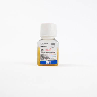Human Serum, Pooled, 100 ML | MP Biomedicals®