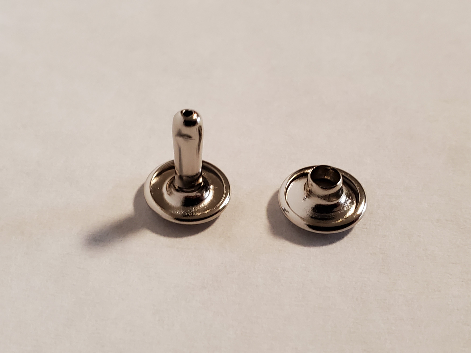 Double Cap Rivets | BioThane | The Strap Warehouse