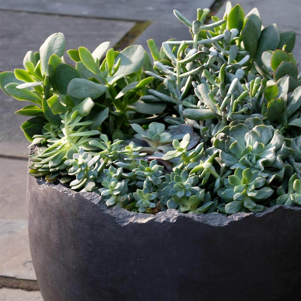 Campania International Broken Grade AA Egg Planter | Garden-Fountains