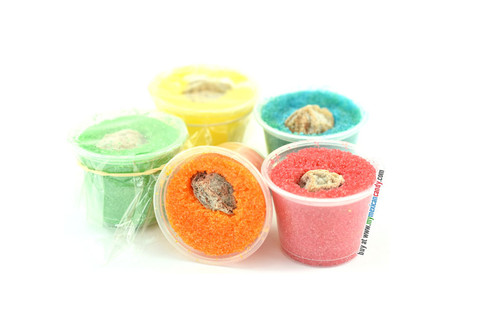 Dragonzito Powder 100-Pieces Pack | Buy at My Mexican Candy
