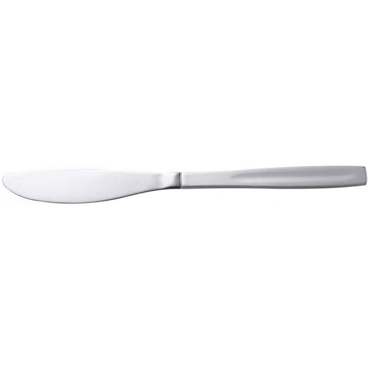 Economy Table Knife x 12 - PPS