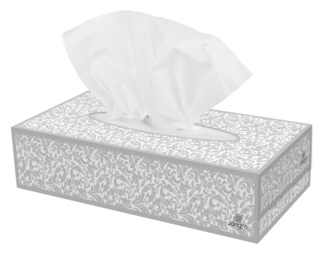 Professional Tissues 100 Sheet x 36 - PPS