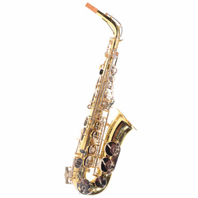 Selmer AS300 Student Alto Saxophone Outfit USED - The Music Den